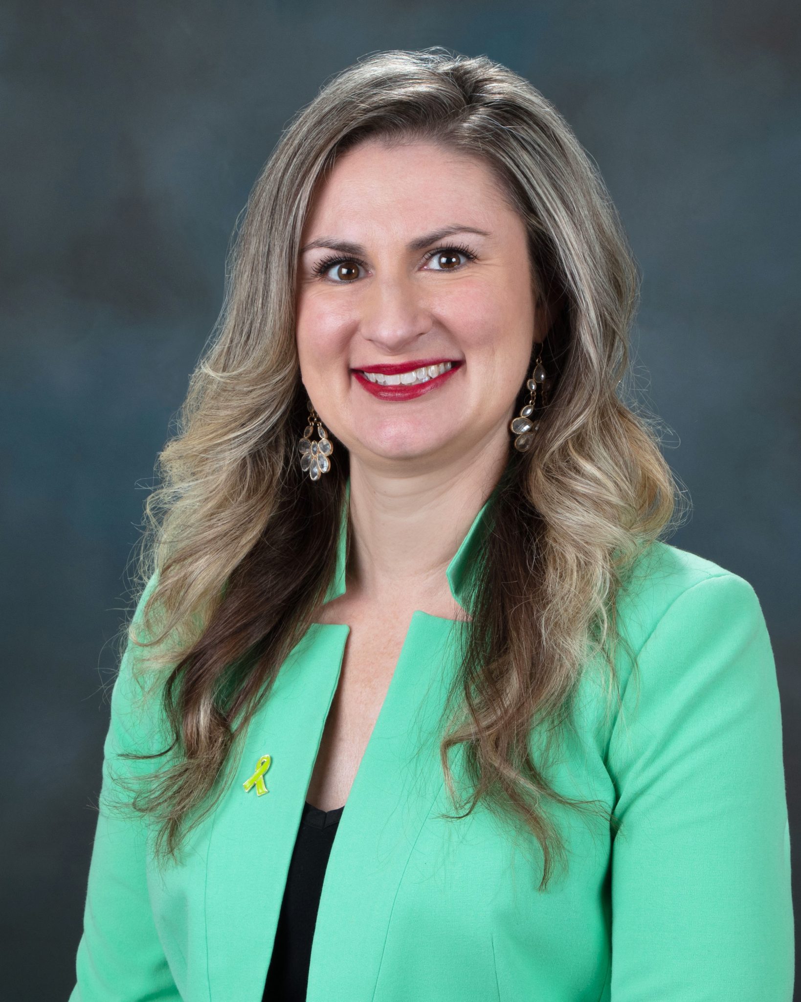 About the Council on Criminal Justice and Behavioral Health (CCJBH ...