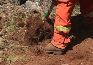 Conservation Camp program: Redemption on the fire line