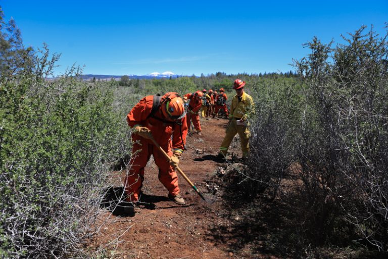 Conservation Camp program: Redemption on the fire line