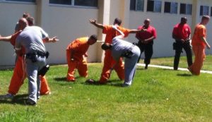 A Day in the Life of a CDCR Academy sergeant - Inside CDCR