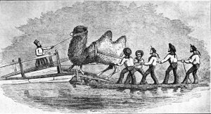 Notorious bandit's fate tied to failed Army camel corps - Inside CDCR