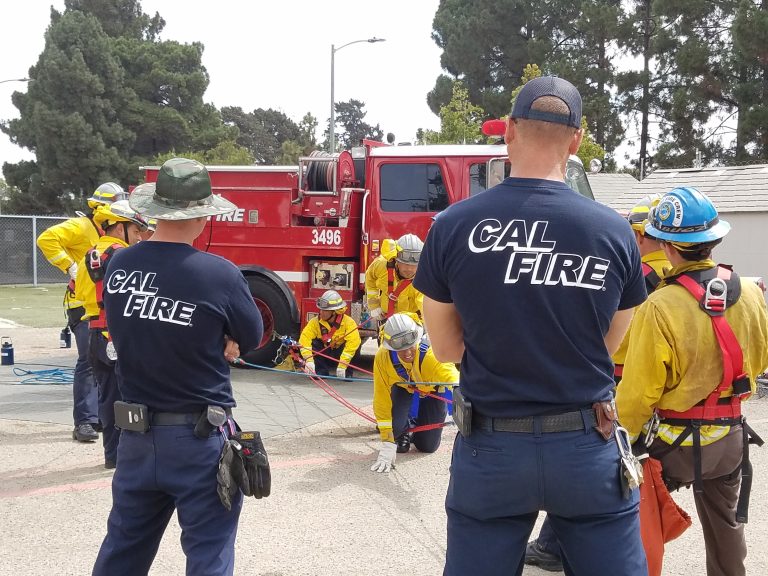 Division of Adult Parole Operations Archives - Page 3 of 8 - Inside CDCR