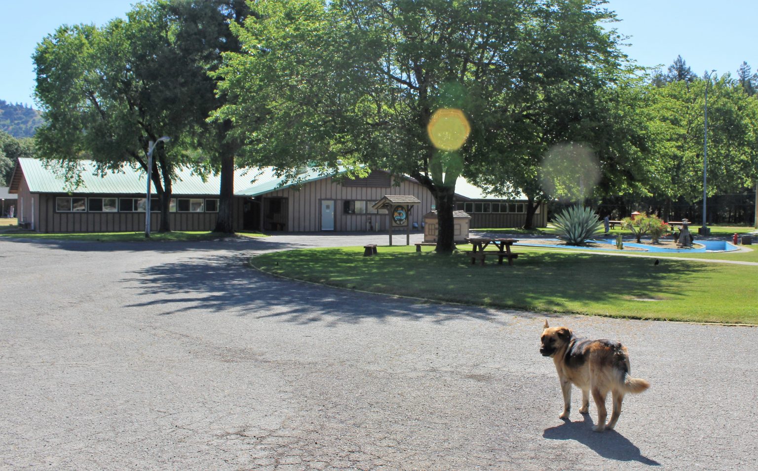 Firefighters Archives - Inside CDCR