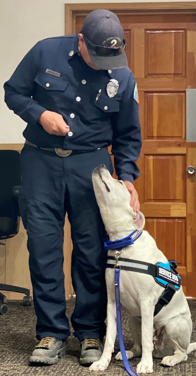 Therapy dog graduates from MCSP - Inside CDCR