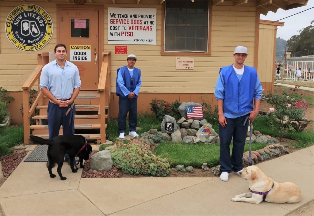 New Life K9 team raises $100k