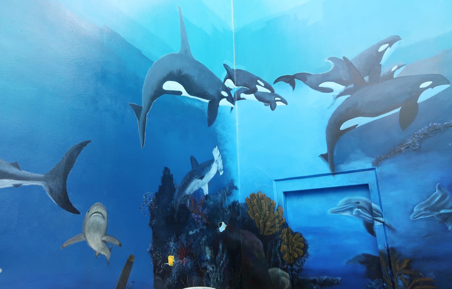 Pelican Bay Facility D transforms for rehabilitation