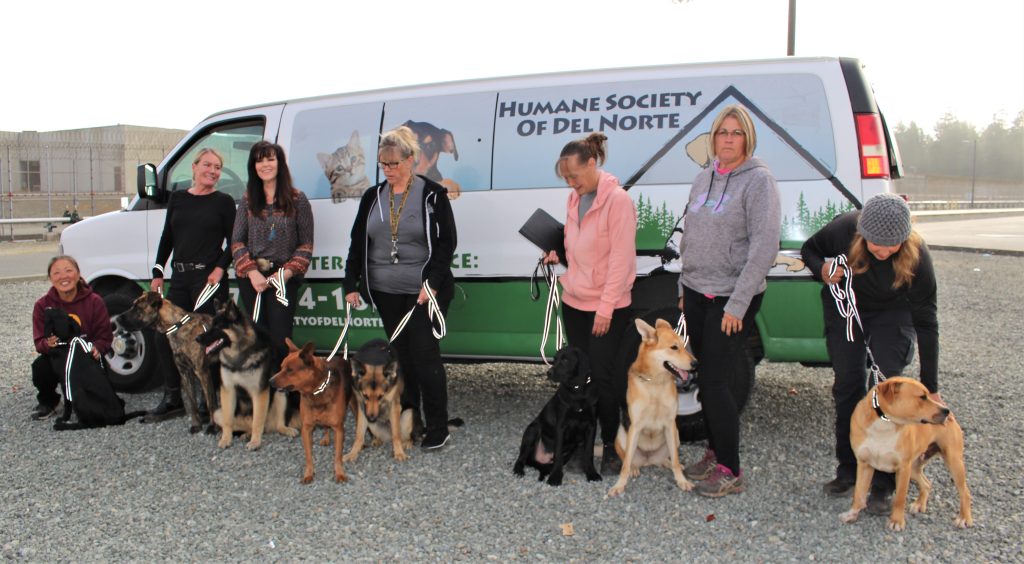Dog News Archives - Page 3 of 6 - Inside CDCR