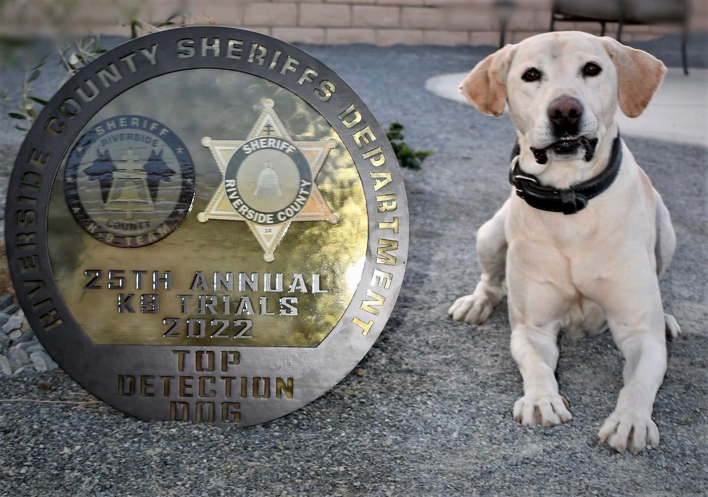 K-9 Camo takes Riverside top detection honors - Inside CDCR