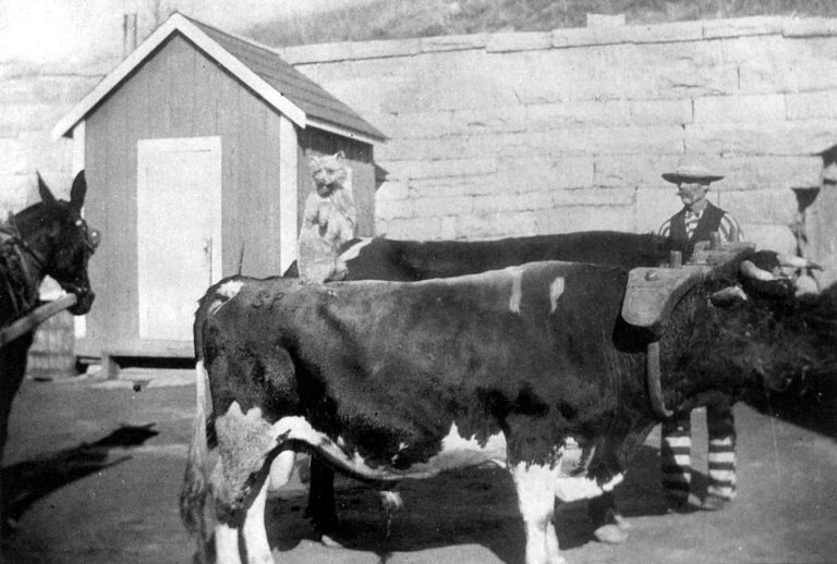 Inside CDCR 2024: A look back - Inside CDCR