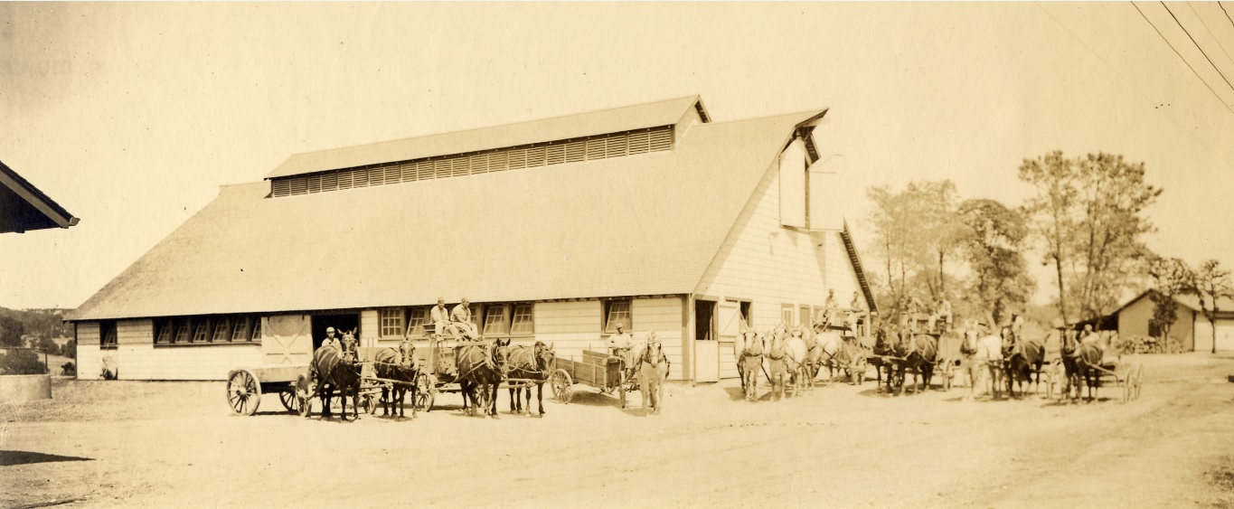 Horses powered early prison construction - Inside CDCR