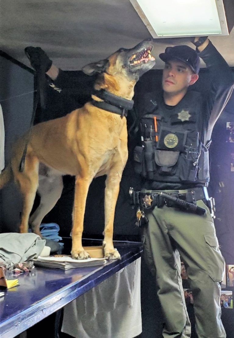 Meet the CEN K-9 team: Arrow and Kendra - Inside CDCR