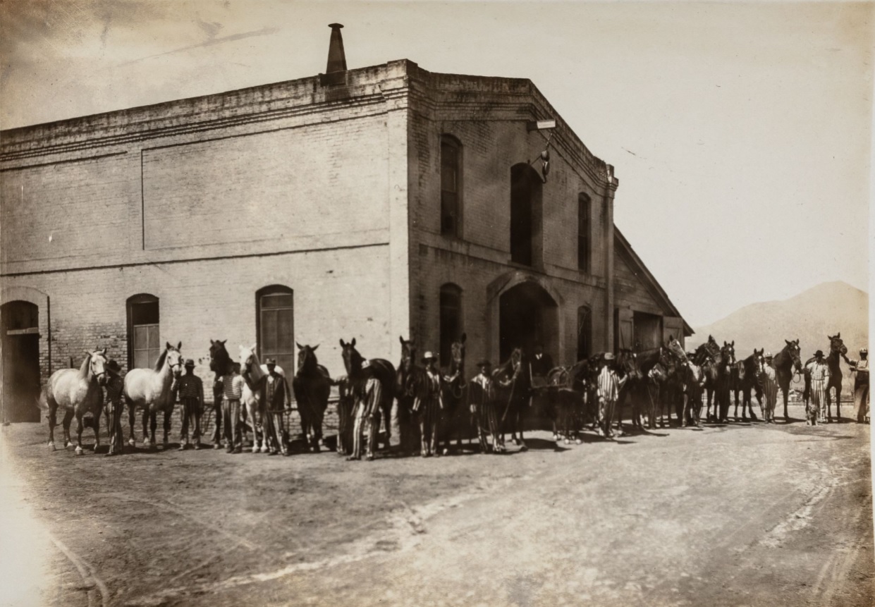 Horses powered early prison construction - Inside CDCR