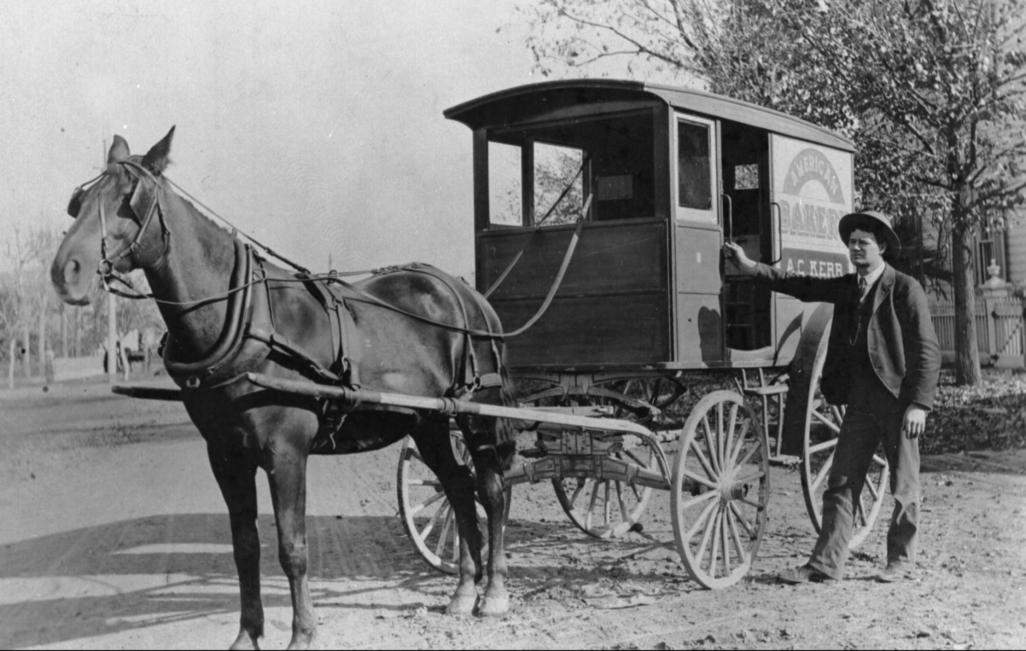 Horses, Rustlers and Bandits - Inside CDCR