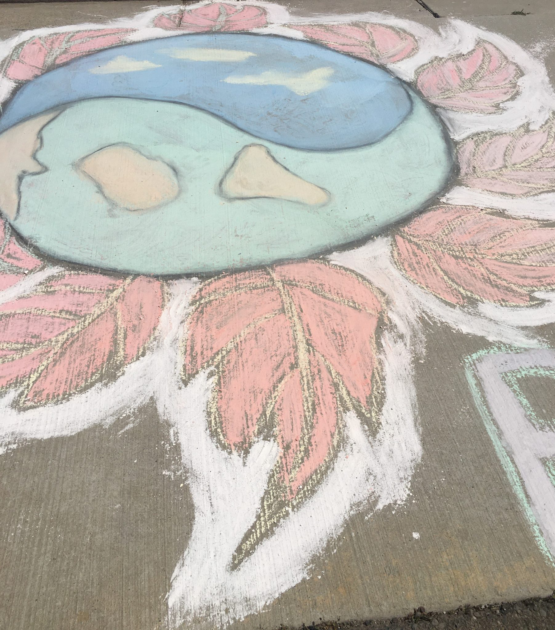 CHCF highlights first Earth Day event