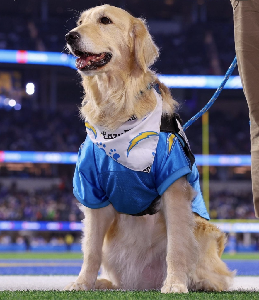 K-9 River given to veteran at Chargers game