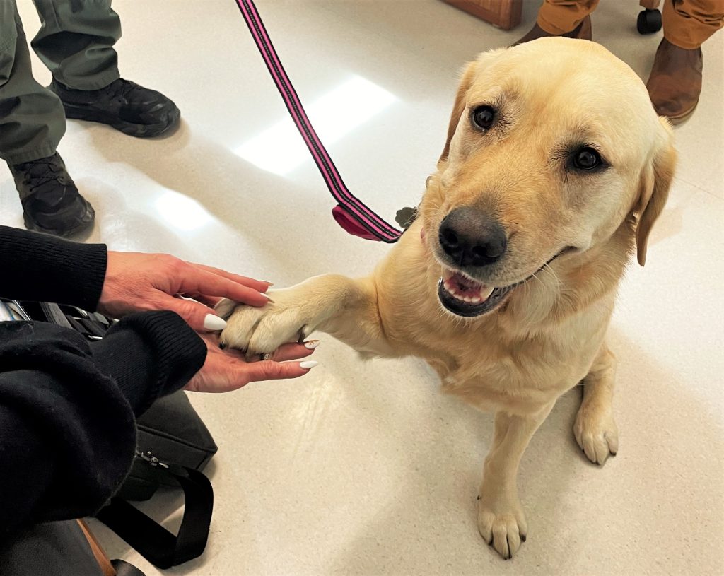 Meet Penny, Men's Colony first peer support dog - Inside CDCR