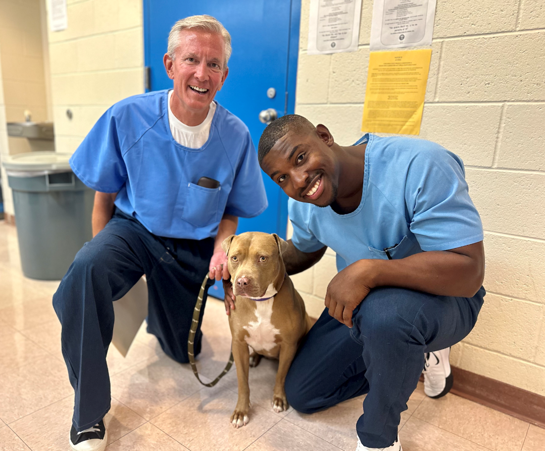 Five dogs complete training at Corcoran