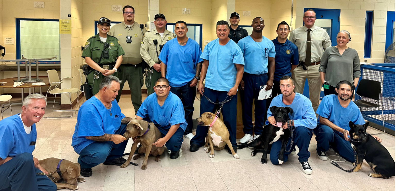 Five dogs complete training at Corcoran