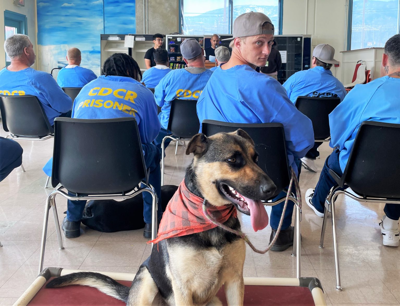 CCI hosts Pawsitive Change graduation - Inside CDCR