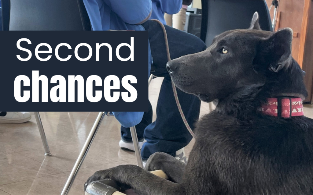 CCI hosts Pawsitive Change graduation - Inside CDCR