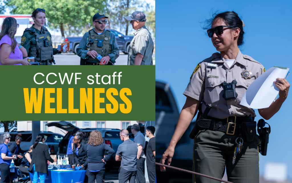 CCWF focuses on staff health, wellness