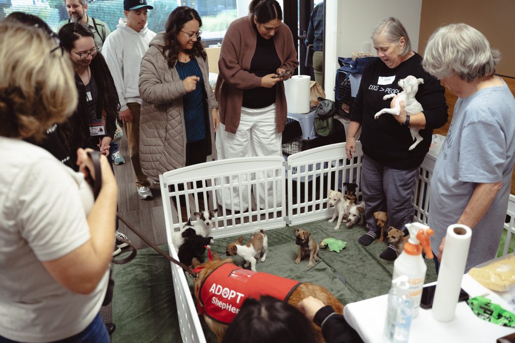 Our Promise campaign wraps up Nov. 30 - Inside CDCR