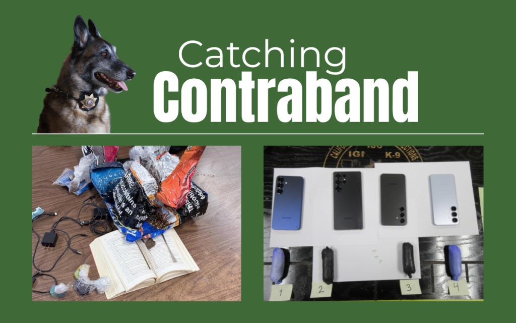 Getting up close with new ISP dog program