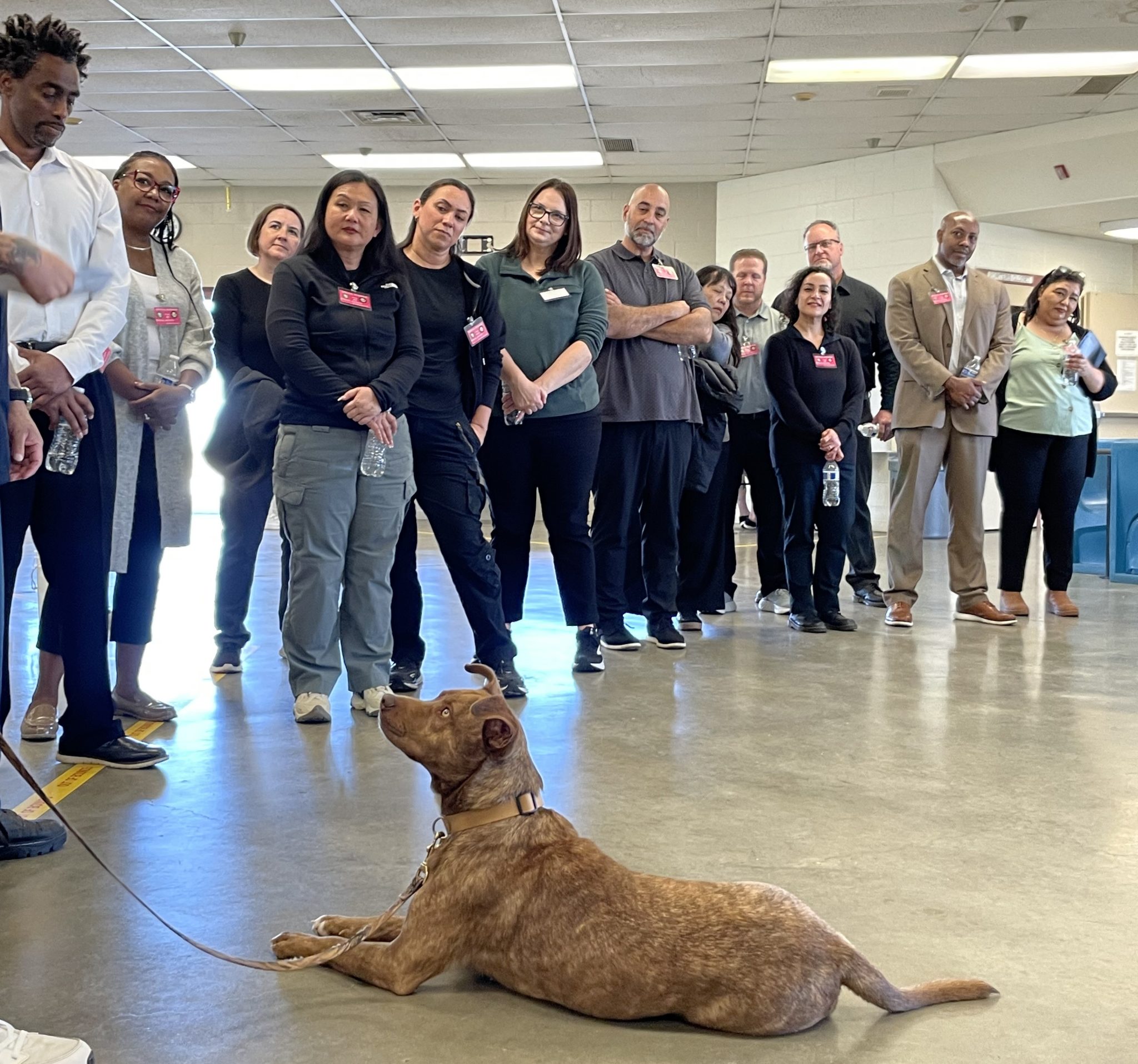 Probation, education leaders tour VSP - Inside CDCR