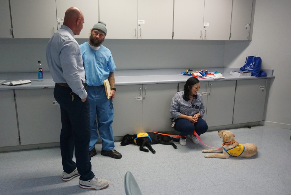 Canine Companion puppies begin Kern Valley program - Inside CDCR
