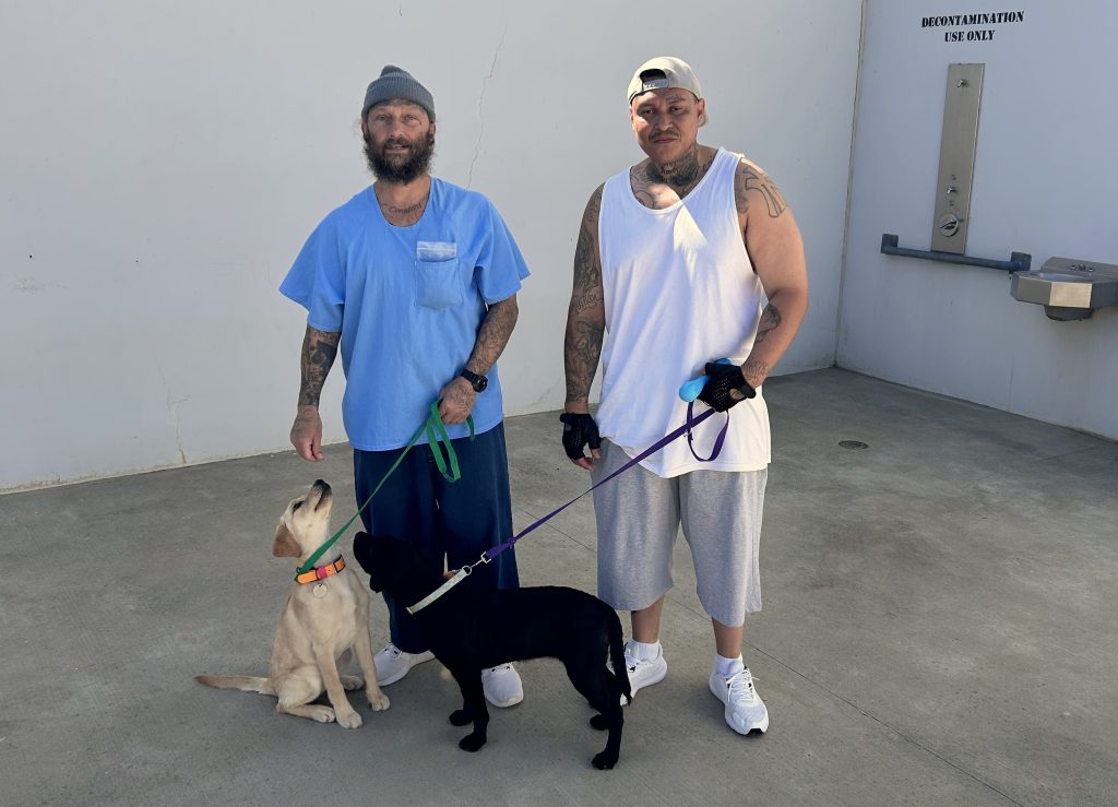 Canine Companion puppies begin Kern Valley program - Inside CDCR
