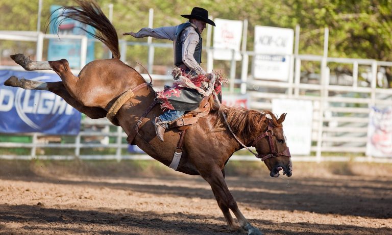Calipatria State Prison (CAL) Calipatria, CA